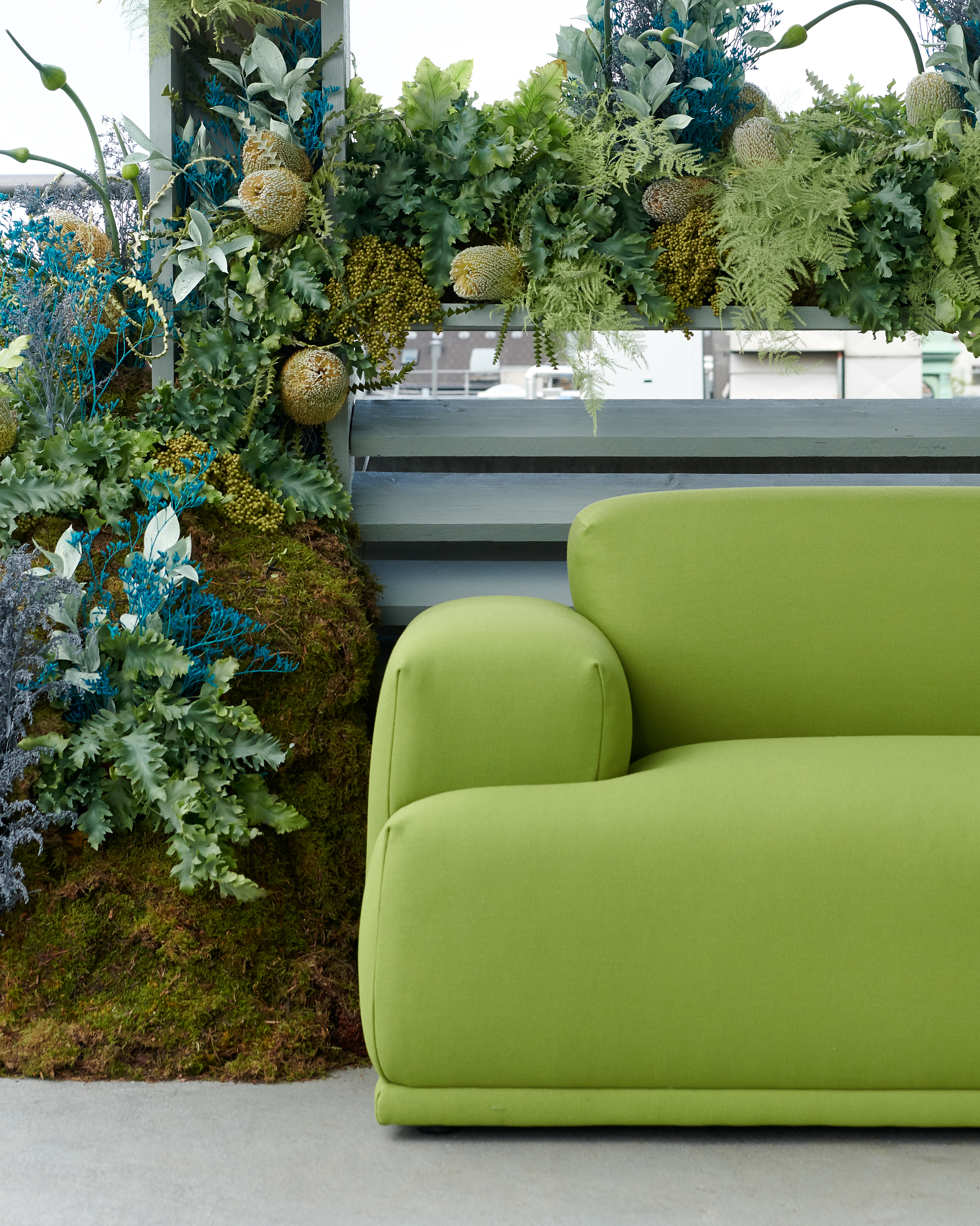 Boz Art — Enigmatic Floral Expressions